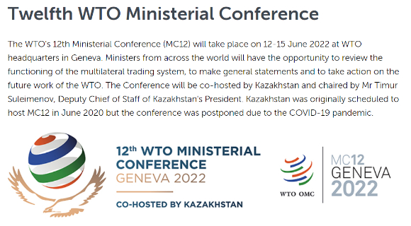 5년 만에 열리는 WTO 각료회의…지역·양자 통상시대에 ‘WTO 역할론' 정립할까