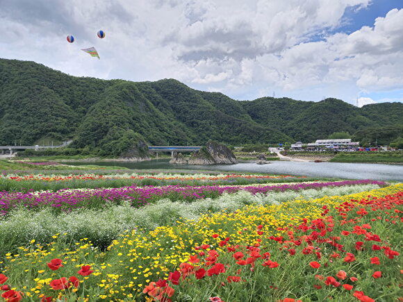 ‘단양 도담삼봉’ 지난해 충북 최다 방문 관광지